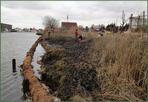 Installing a Living Shoreline in Lewes, Delaware - WMAP Blog - State of ...