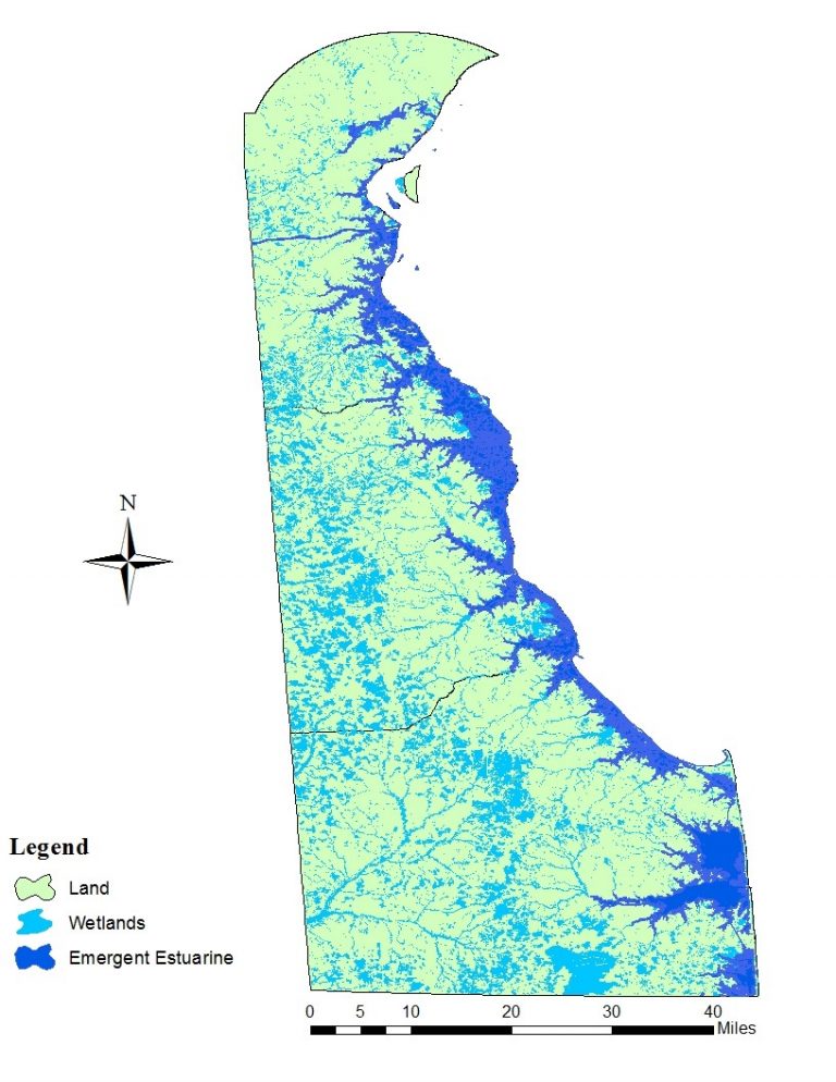 Blue Carbon – a benefit to protecting tidal wetlands - WMAP Blog ...