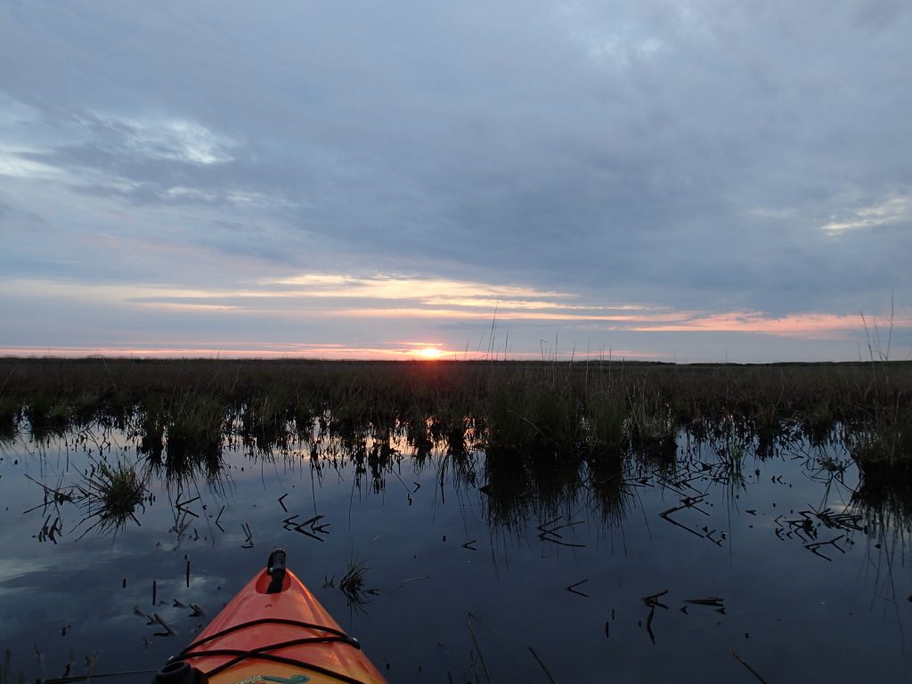 Wetland Monitoring and Assessment Program: Celebrating 20 years