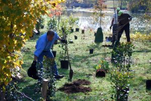 What is a riparian buffer? - WMAP Blog - State of Delaware