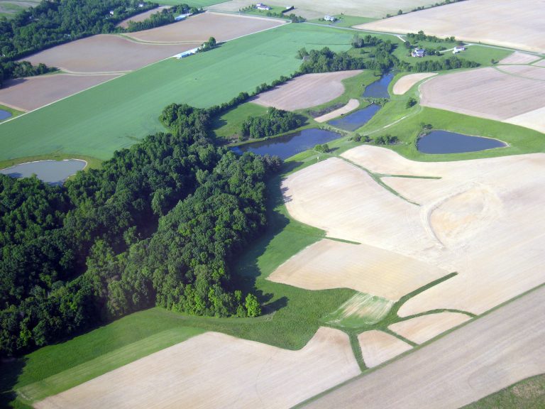 What is a riparian buffer? - WMAP Blog - State of Delaware