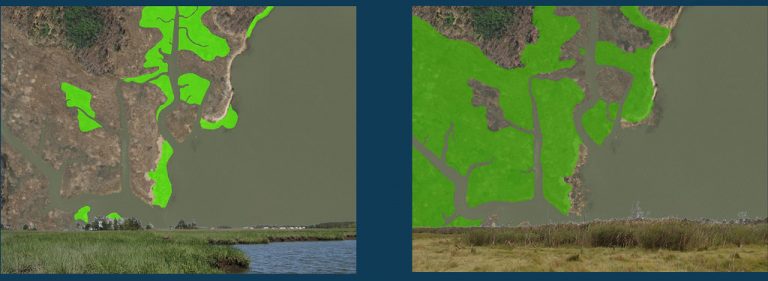 New Delaware Wetland Maps Available - WMAP Blog - State of Delaware