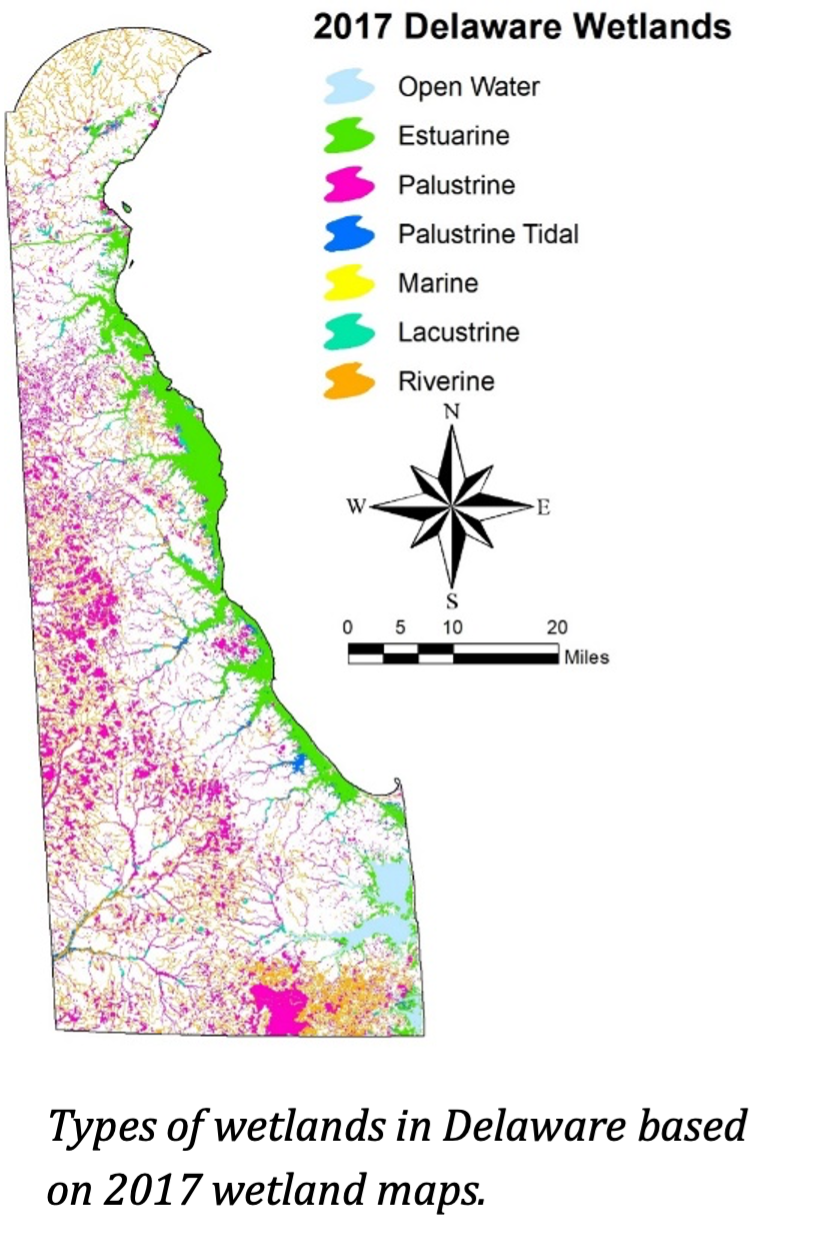 Wetland Acreage Status in Delaware - WMAP Blog - State of Delaware