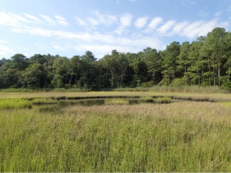 Wetland Acreage Status in Delaware - WMAP Blog - State of Delaware