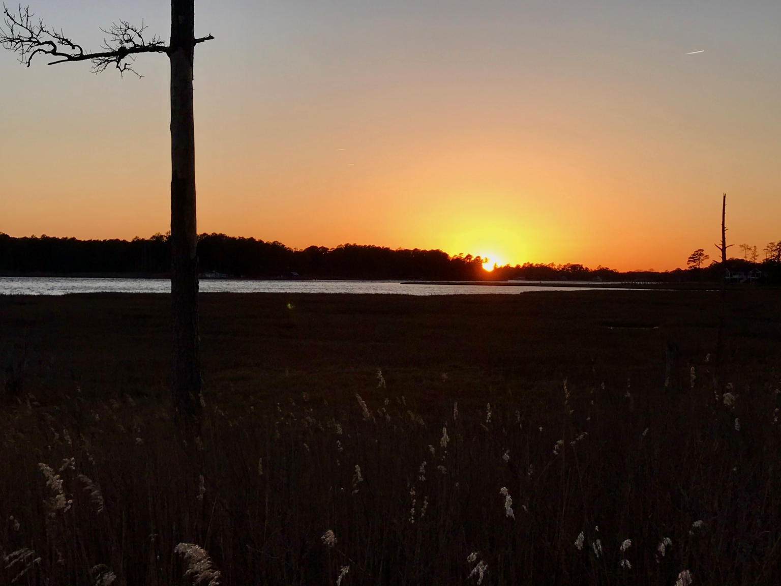 American Wetlands Month: 5 Reasons to Love Wetlands - WMAP Blog - State ...