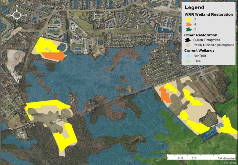 Planning a Brighter Future for the Wetlands of Delaware’s Inland Bays ...