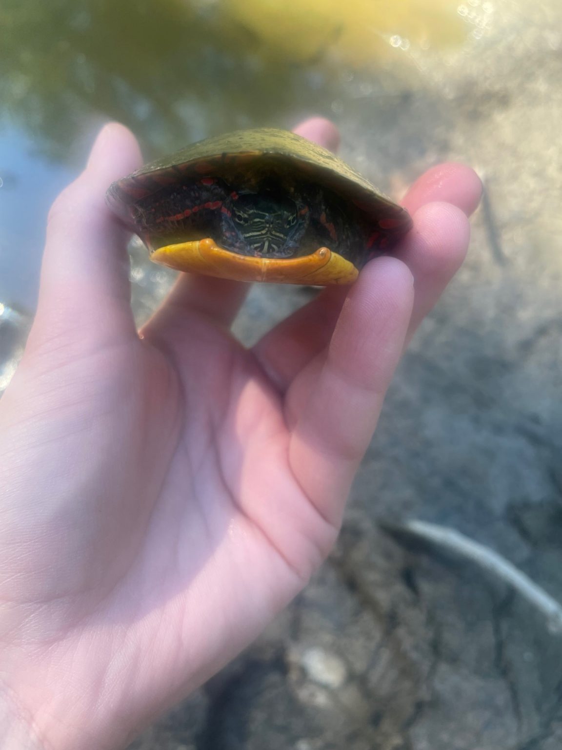 A Dynamic Ecosystem - WMAP Blog - State of Delaware