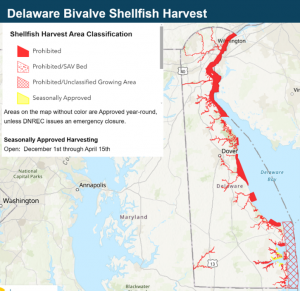 The Scoop on Shellfish - WMAP Blog - State of Delaware