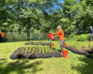 Staying Above Water with Floating Wetlands - WMAP Blog - State of Delaware