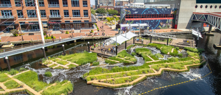 Staying Above Water with Floating Wetlands - WMAP Blog - State of Delaware